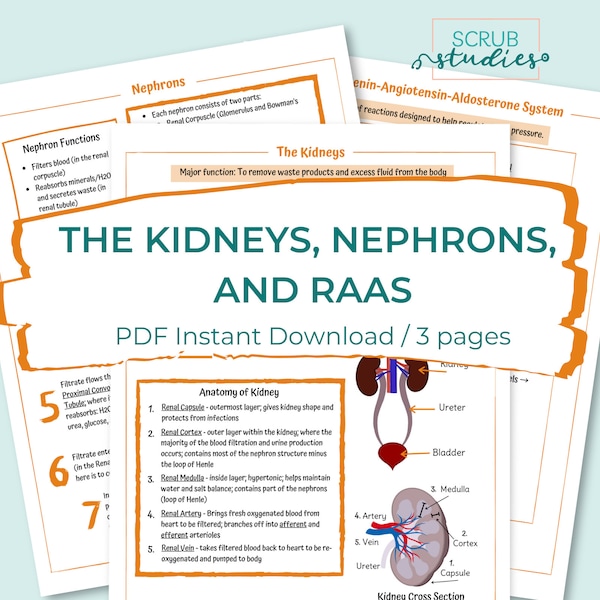 Urinary Tract Infections UTI Cystitis Urethritis Pyelonephritis Nursing ...
