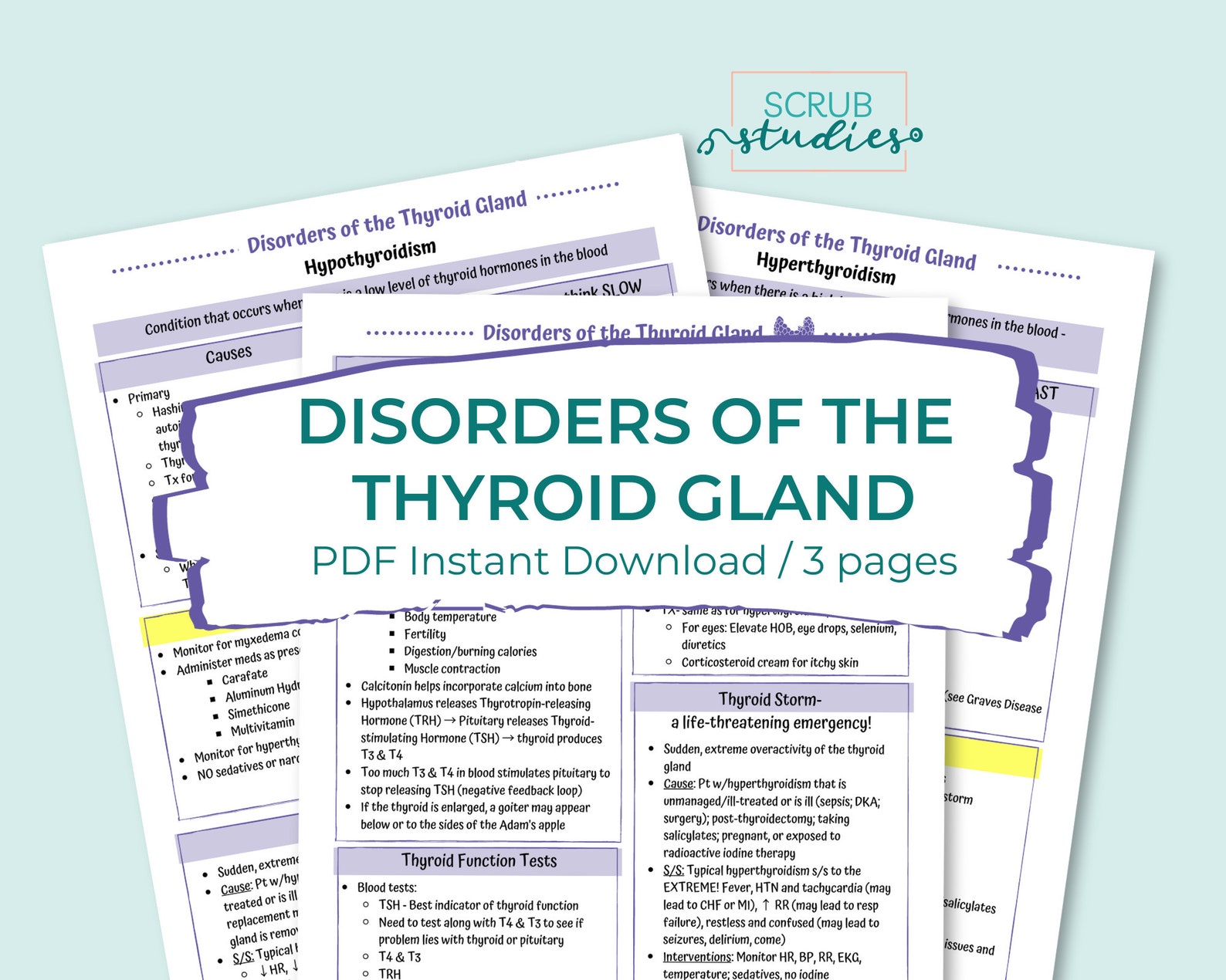 Endocrine Bundle | Nursing Student Study Guide | Digital Download ...