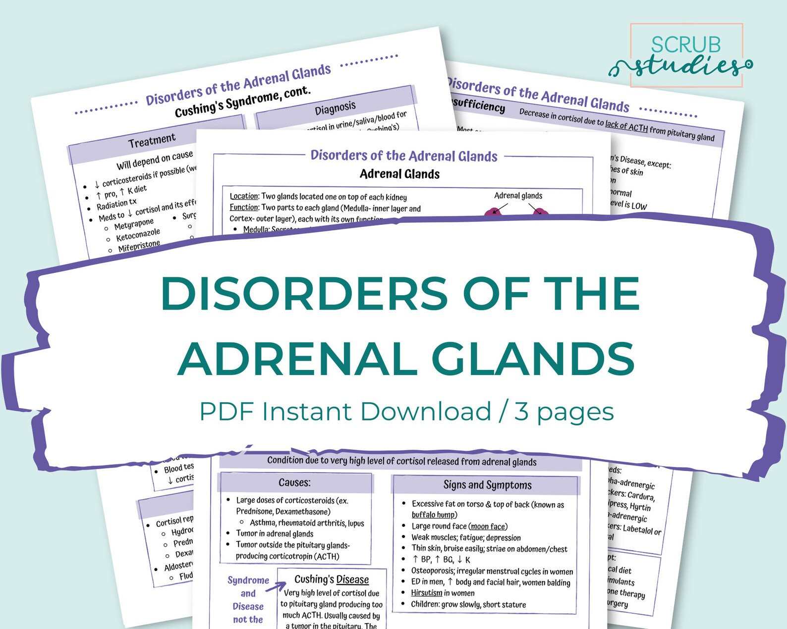 Endocrine Bundle Nursing Student Study Guide Digital - Etsy