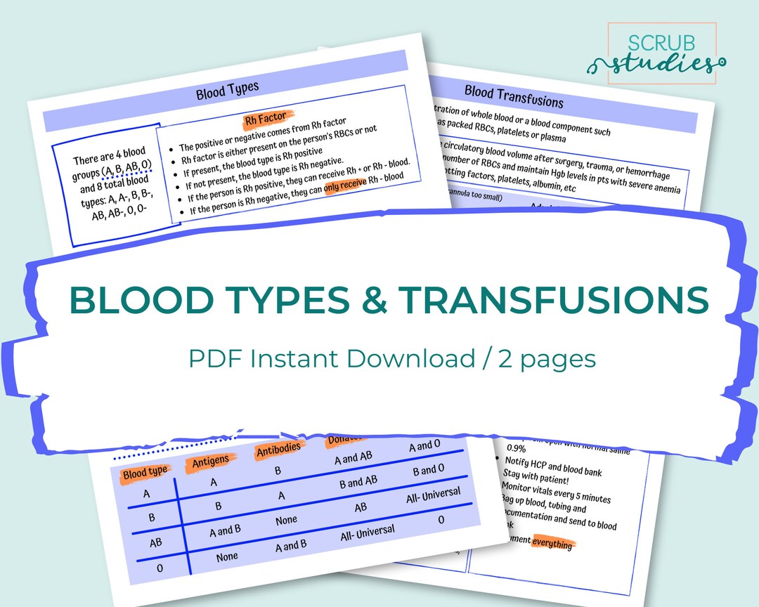 Blood Types and Transfusions Nursing Student Study Guide - Etsy