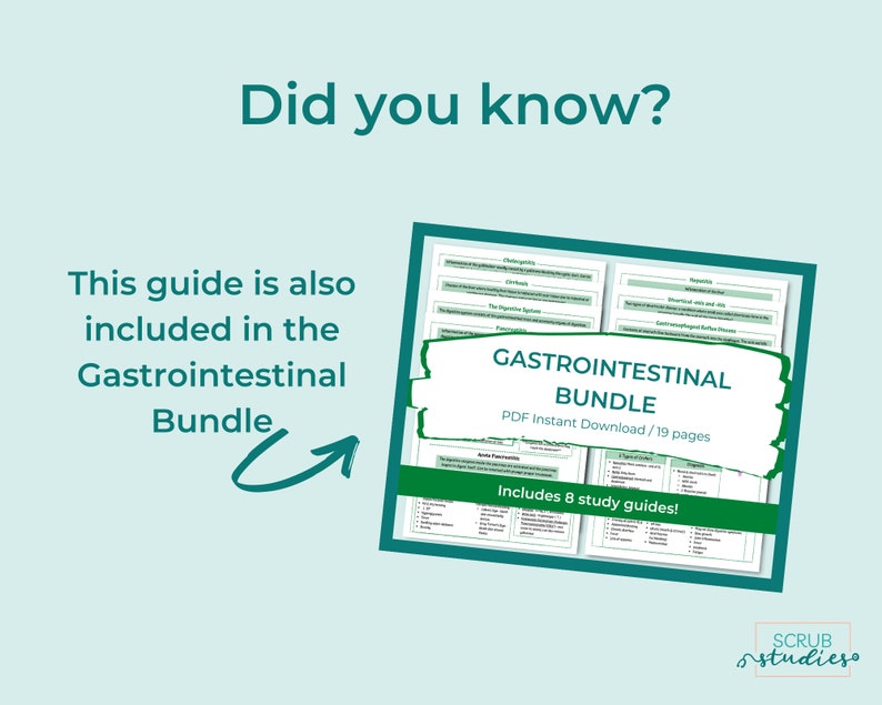 The Digestive System Study Guide GI Tract Gastrointestinal - Etsy