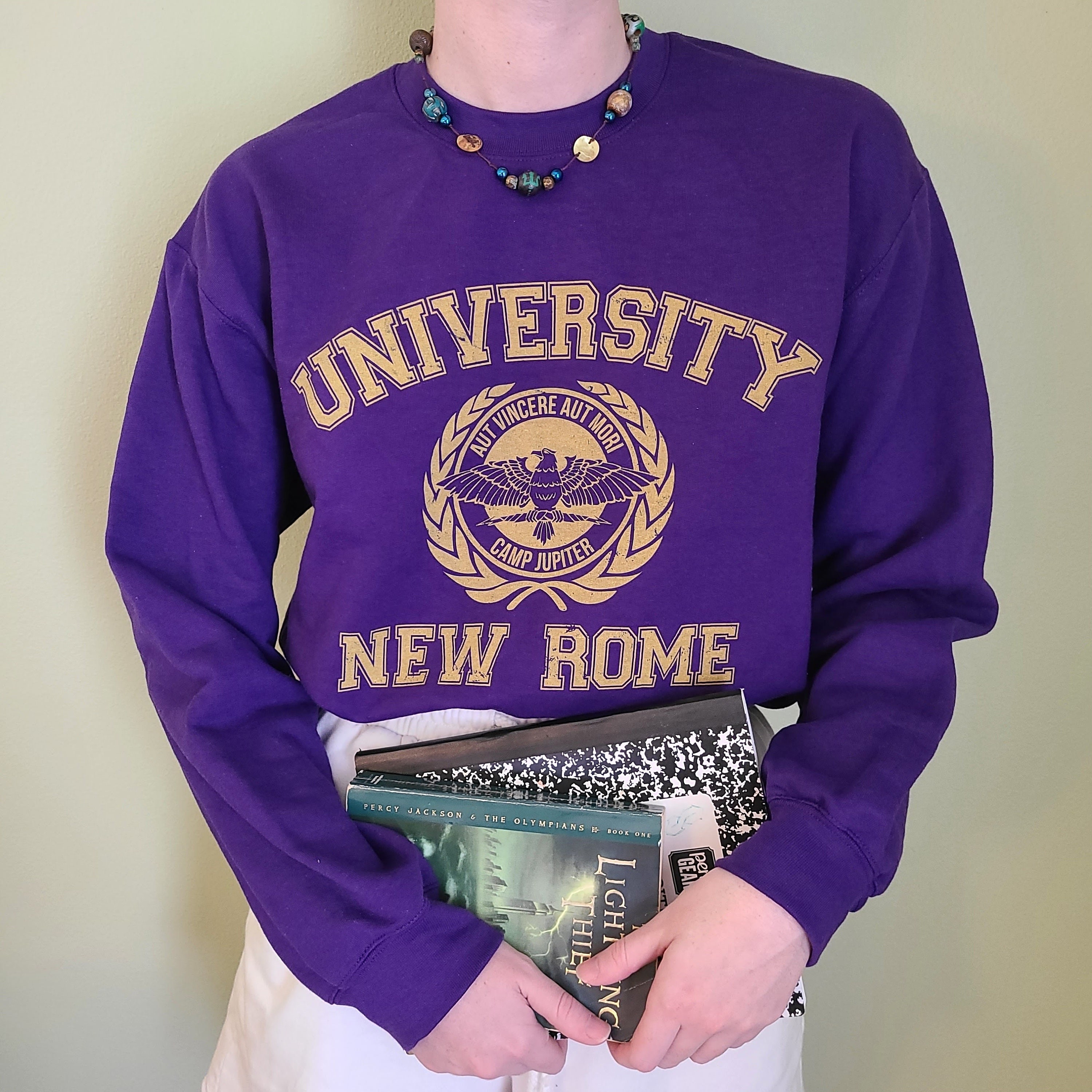 New Rome University Sweatshirt | Etsy