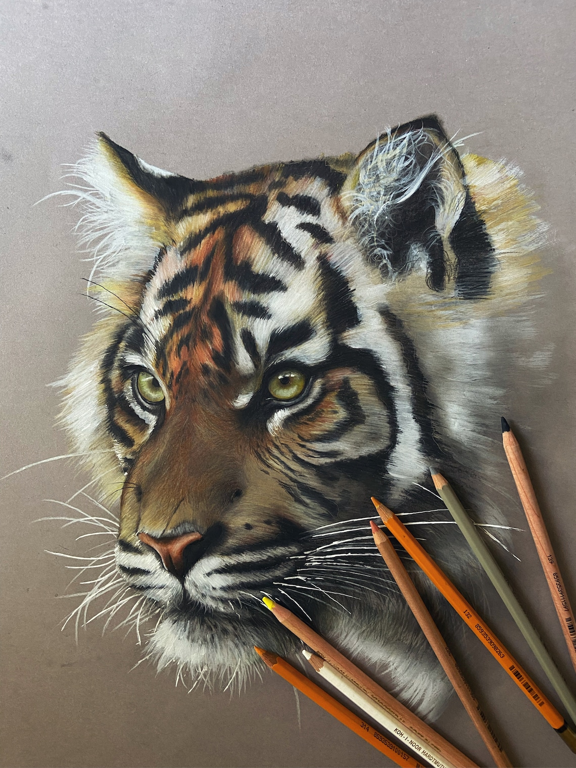 Custom Colored Pencil Pet Portraits Hand Drawn Pet Portrait - Etsy