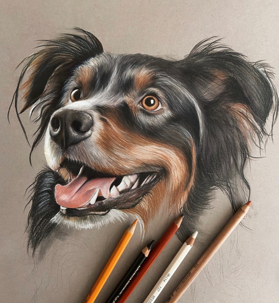Etsy dog portraits store