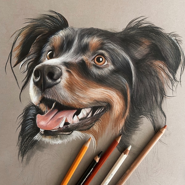 Dog Pencil Drawing - Etsy