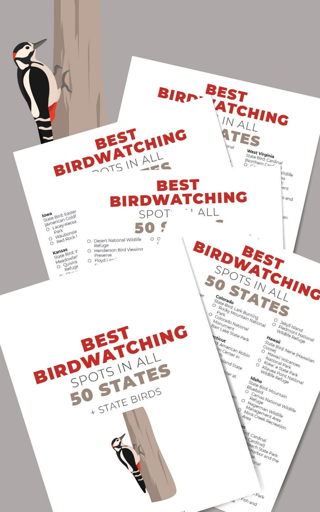 Best Birdwatching Spots in All 50 States, Digital Download, Printable ...