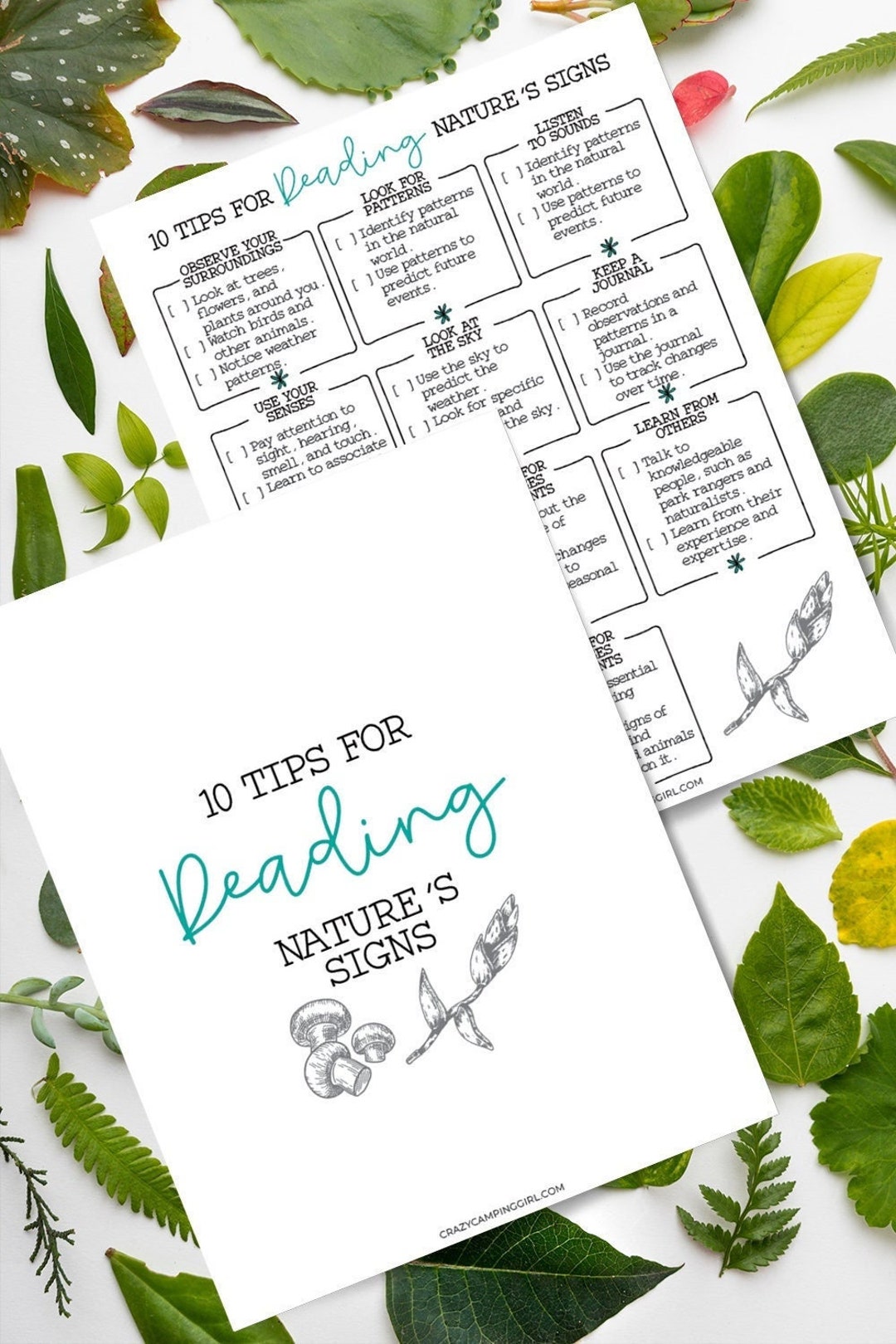 10 Tips for Reading Nature's Signs, Nature, Digital Download, Instant ...