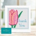 Pink Tulip Thank You Card Cross Stitch Pattern - Etsy