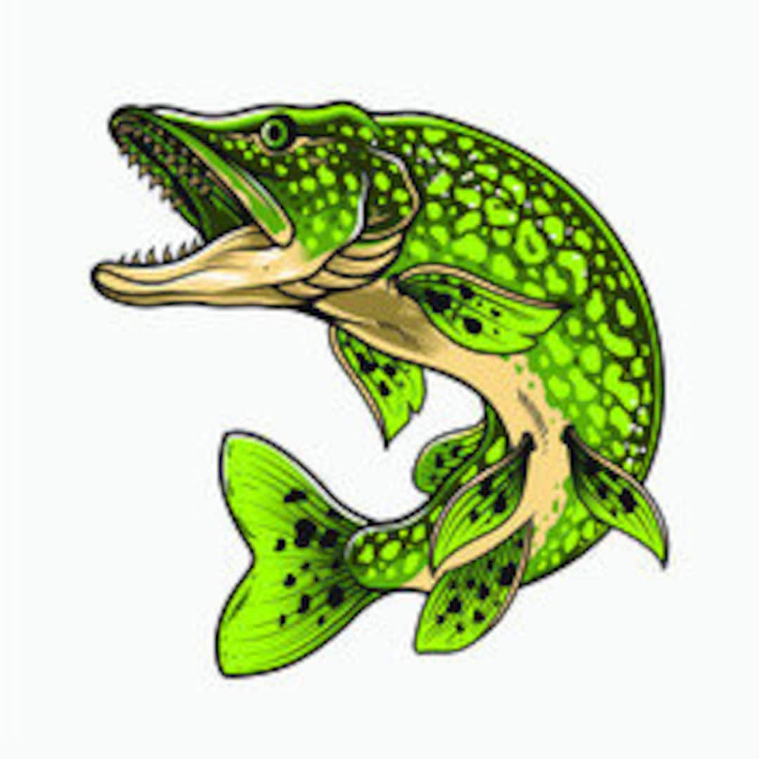 Freshwater Bass Fish Self-adhesive Decal (contour Cut) V-3 - Etsy