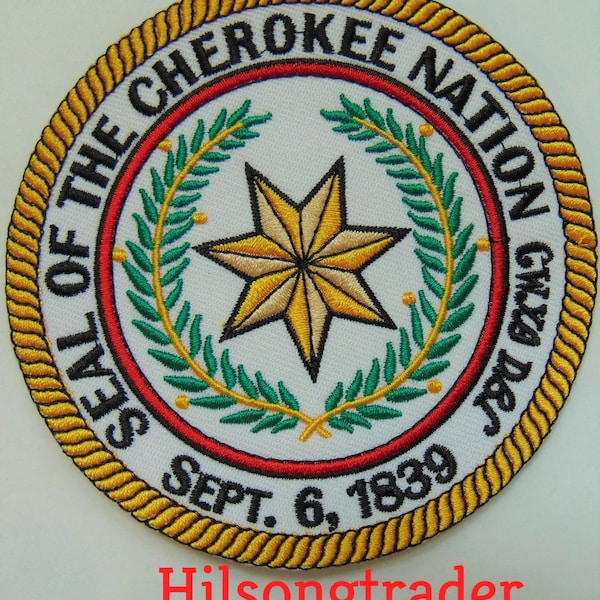 Native American Pin - Etsy