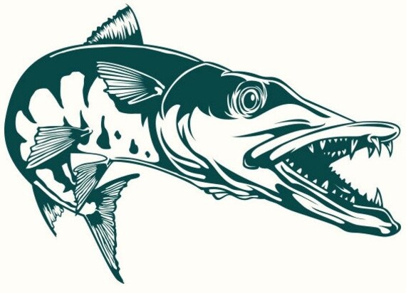 Barracuda Fish Self-adhesive Decal contour Cut - Etsy