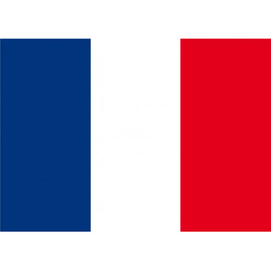 French Flag Self-adhesive Vinyl Decal - Etsy