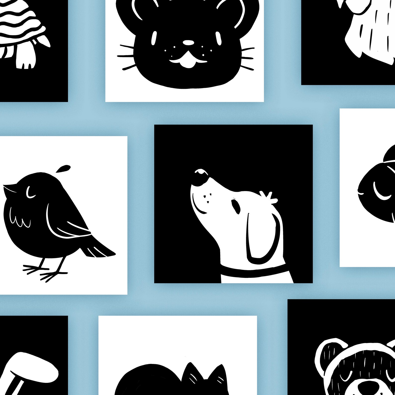 10 Black and White Infant Cards | Pet Edition | Sensory Play, High ...