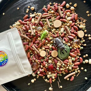 Bug Sensory Kit | Sensory Play Base | Sensory Bin Filler | Tinker Tray ...