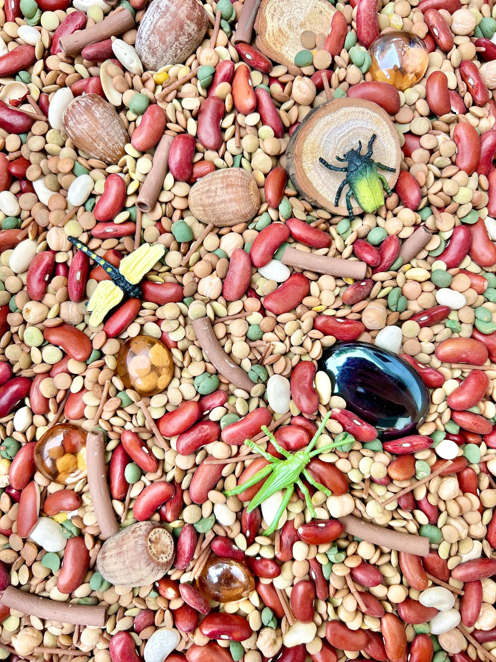Bug Sensory Kit | Sensory Play Base | Sensory Bin Filler | Tinker Tray ...