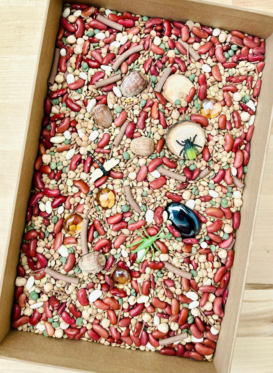 Bug Sensory Kit | Sensory Play Base | Sensory Bin Filler | Tinker Tray ...