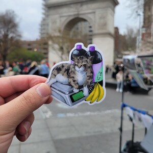 Bodega Cat Stickers | Lost in the City - Vinyl Die Cut Waterproof - Etsy