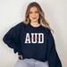 Audiology Sweatshirt, AUD Sweater, Audiologists Gift, Audiology ...
