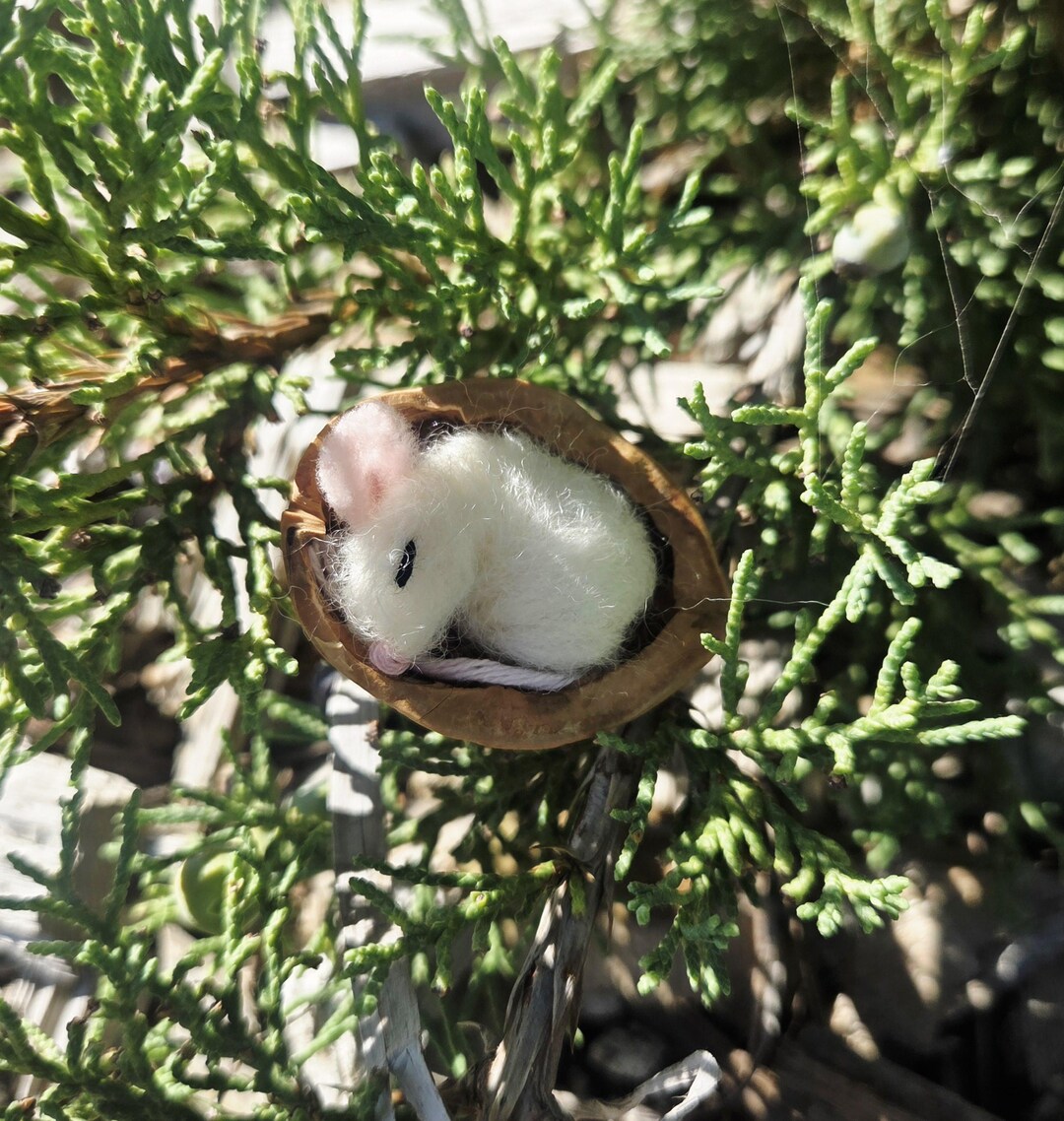 Handmade Sleepy Wool Mouse Inside a Walnut Shell | Whimsical Gift Ideas ...