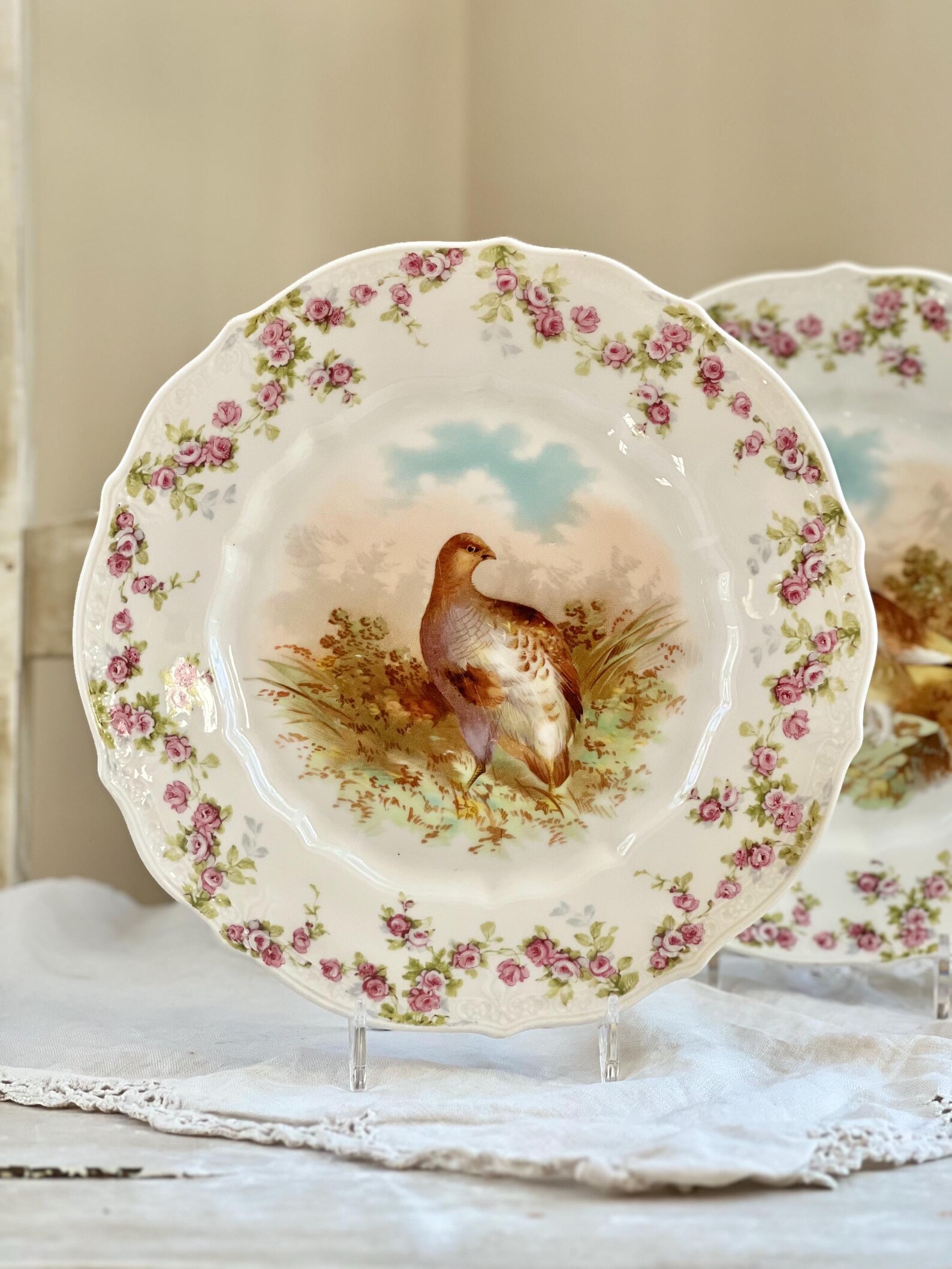 Pair of Antique C. T. Germany Game Bird Decorative Porcelain Plates, 8. ...