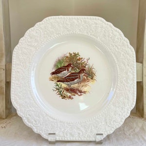 Vintage Pair of English Bird Plates by Lord Nelson, Vintage Decorative ...