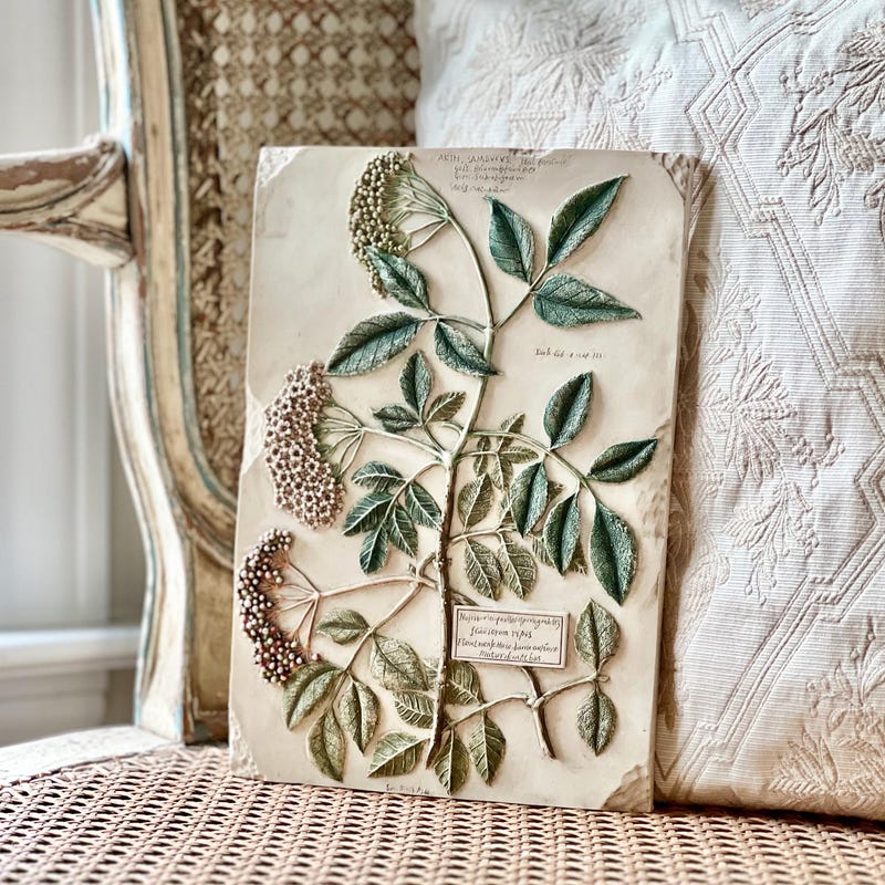 Botanical Bas Relief - Etsy