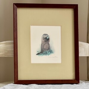 farmettefinds - Etsy