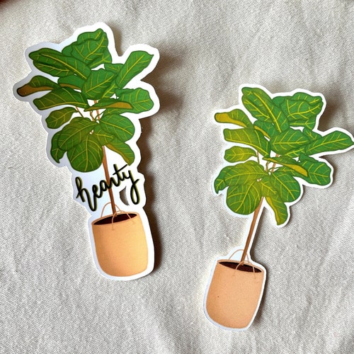 Fiddle Leaf Fig Sticker Plant Sticker Laptop Sticker - Etsy