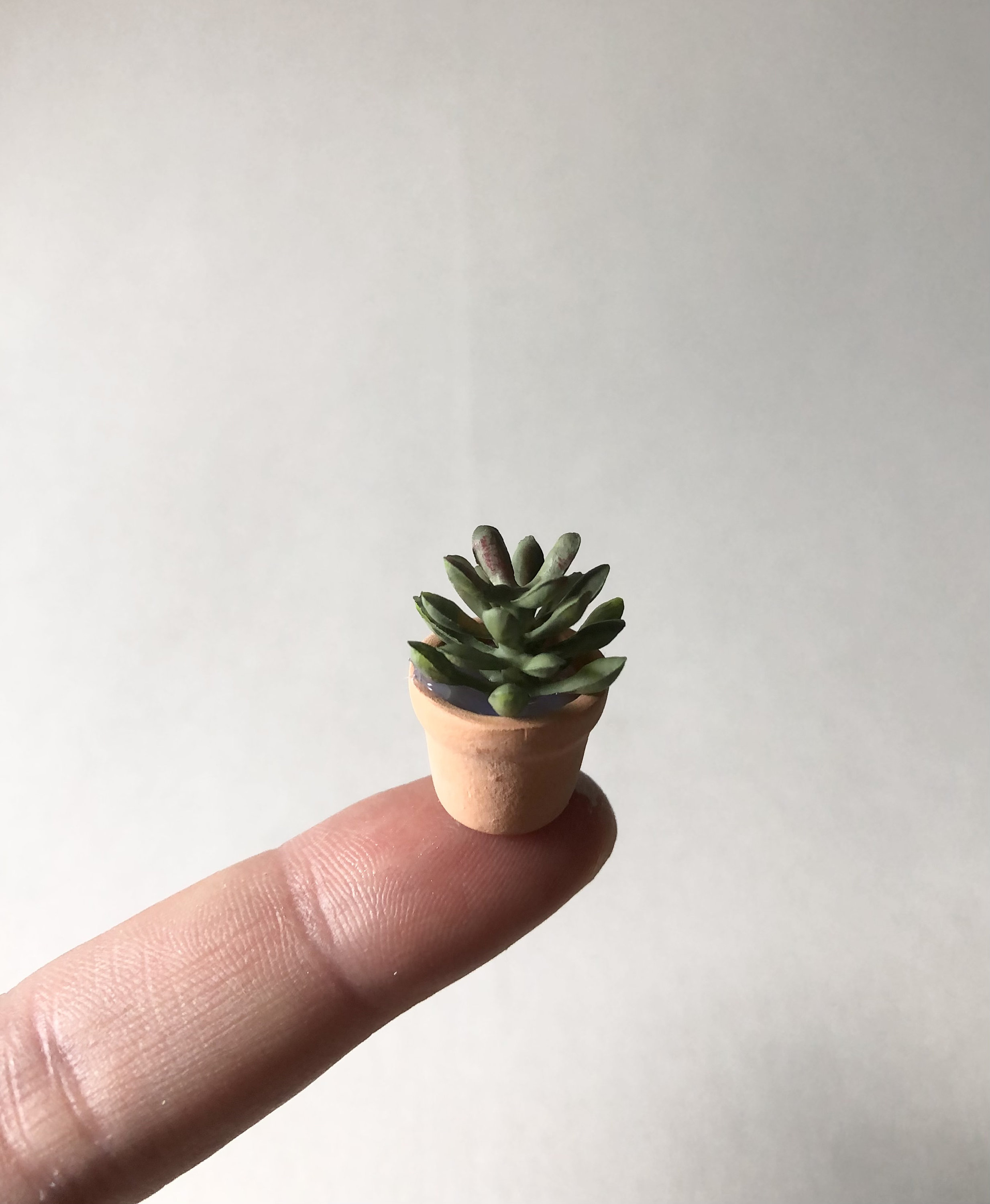 Miniature Plant Set Dollhouse Plant Set 1:12 Scale Plant - Etsy