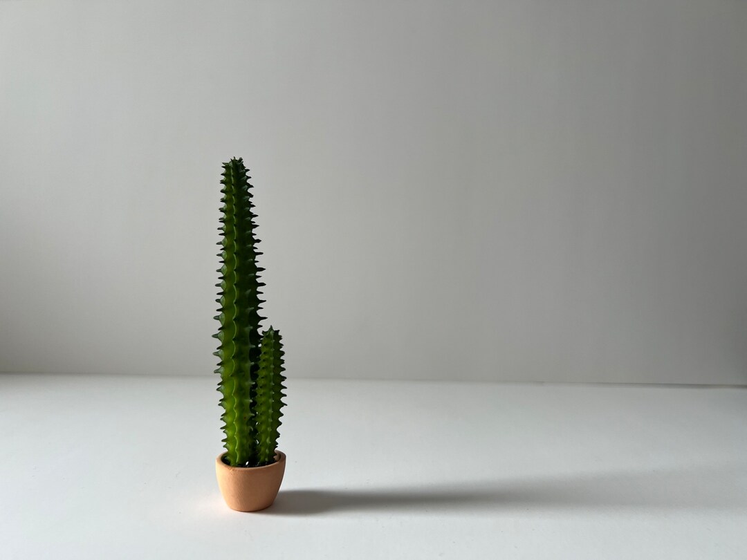 Cactus double miniature, cactus double maison de poupée, cactus double ...