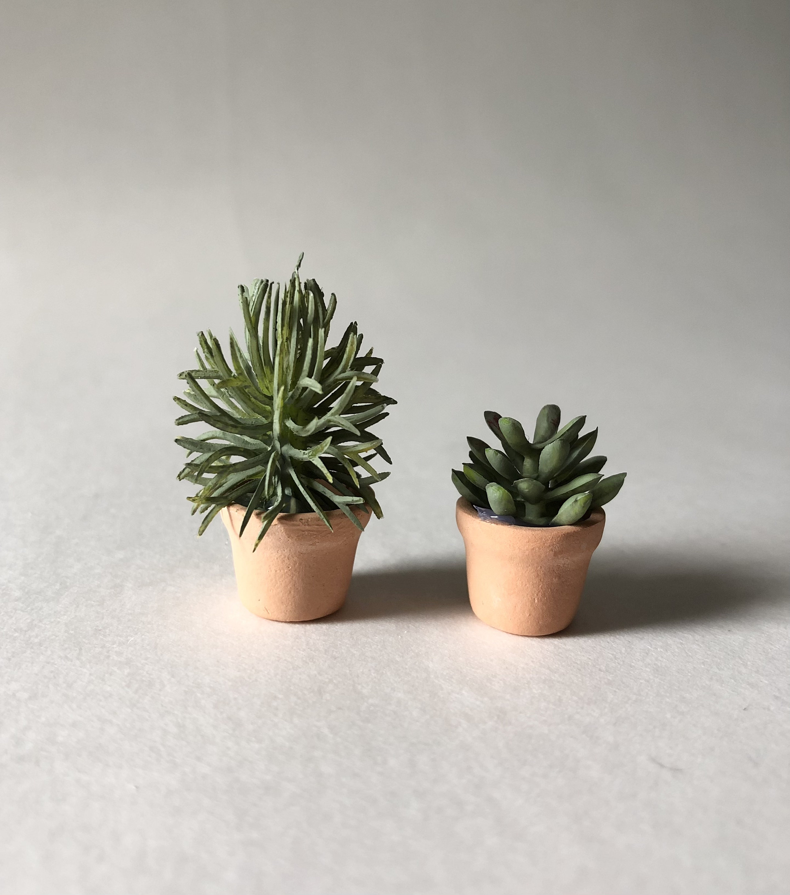 Miniature Plant Set Dollhouse Plant Set 1:12 Scale Plant - Etsy