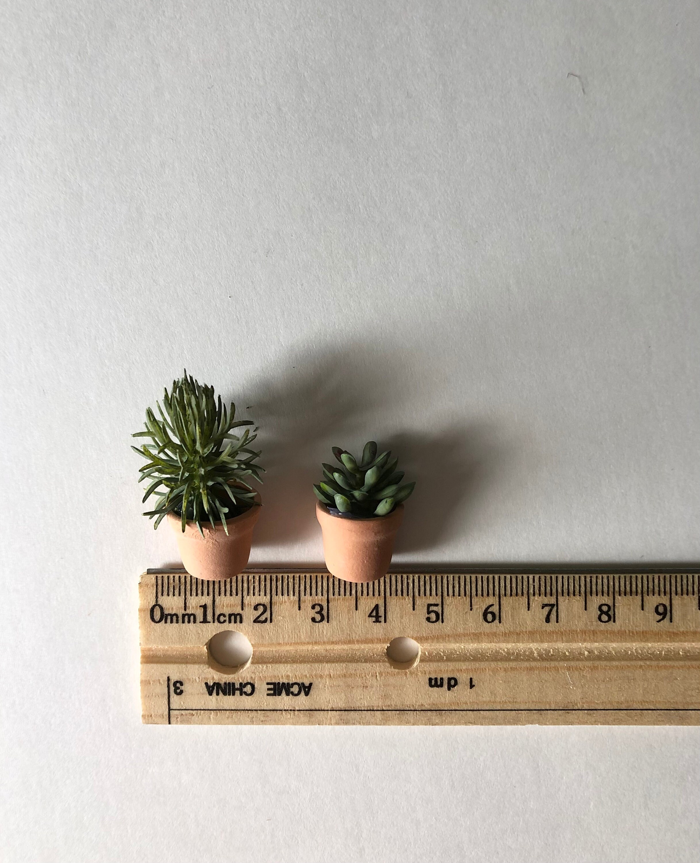 Miniature Plant Set Dollhouse Plant Set 1:12 Scale Plant - Etsy