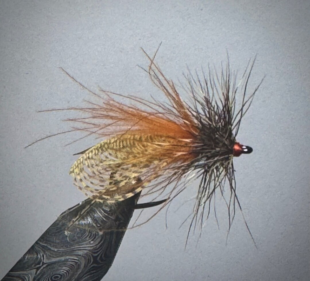 Six 6 Spikey Bug Dry Flies, Size 10, Free Shipping - Etsy