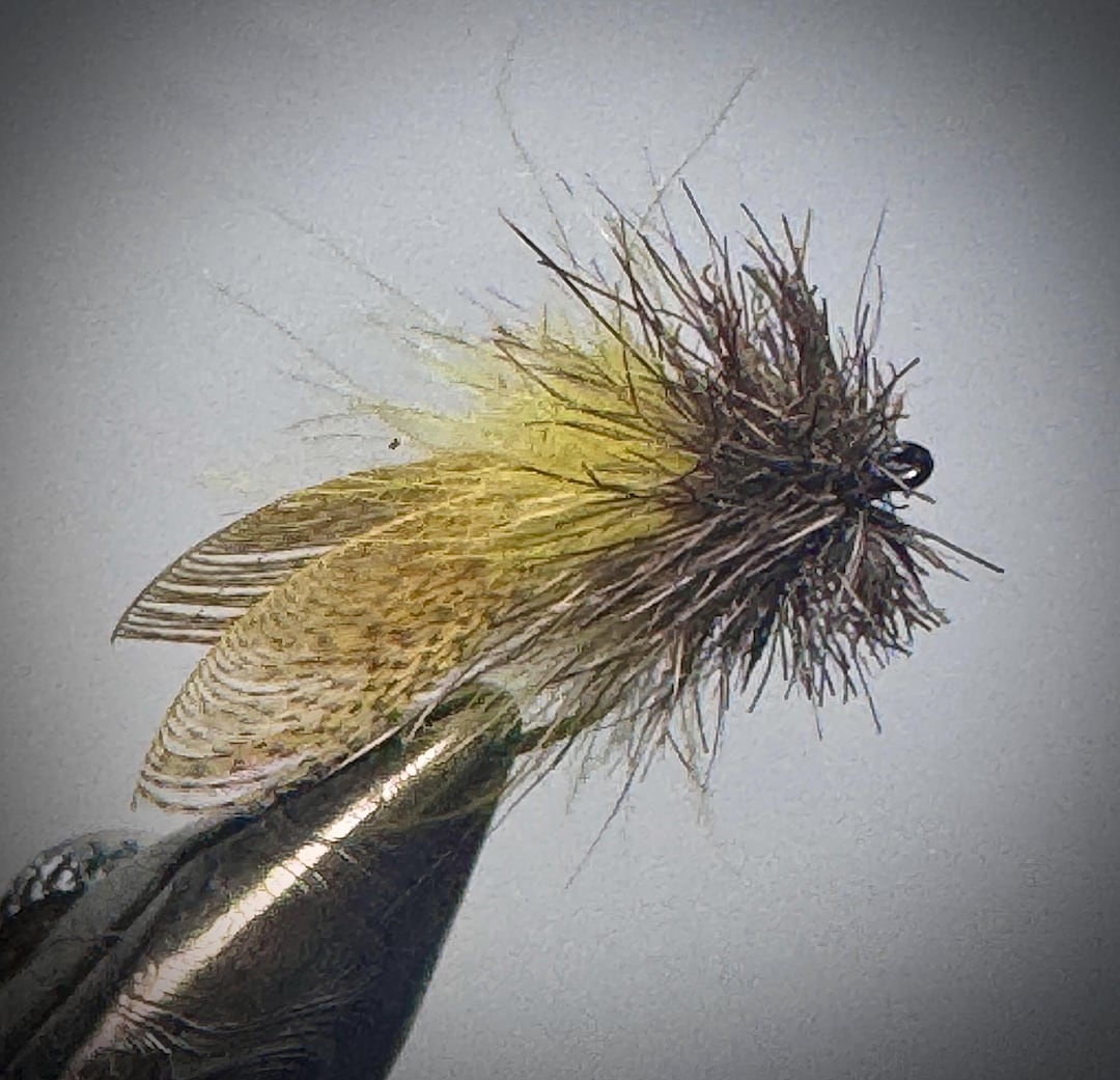 Six (6) Spikey Bug Dry Flies, Size 10, Free Shipping - Etsy