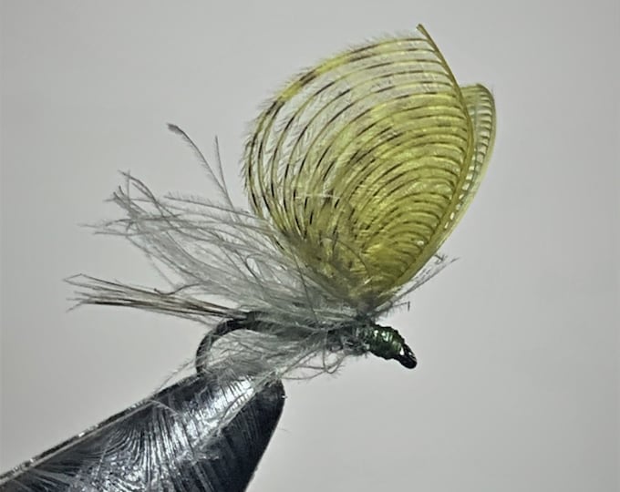 Mayfly Art Print 8.5x11 - Etsy