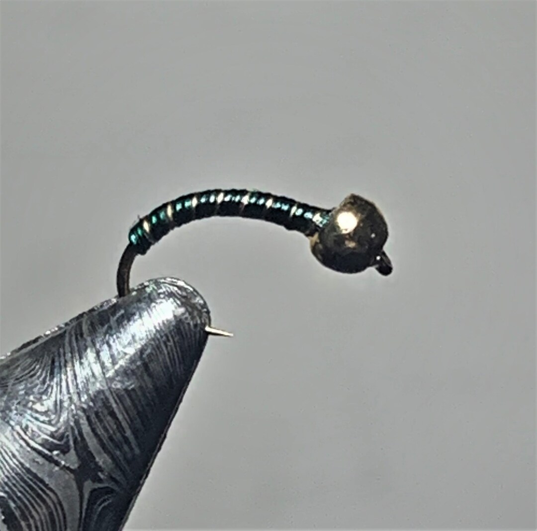 Six 6 Zebra Green Bulletproof Nymphs Size 16 Free - Etsy