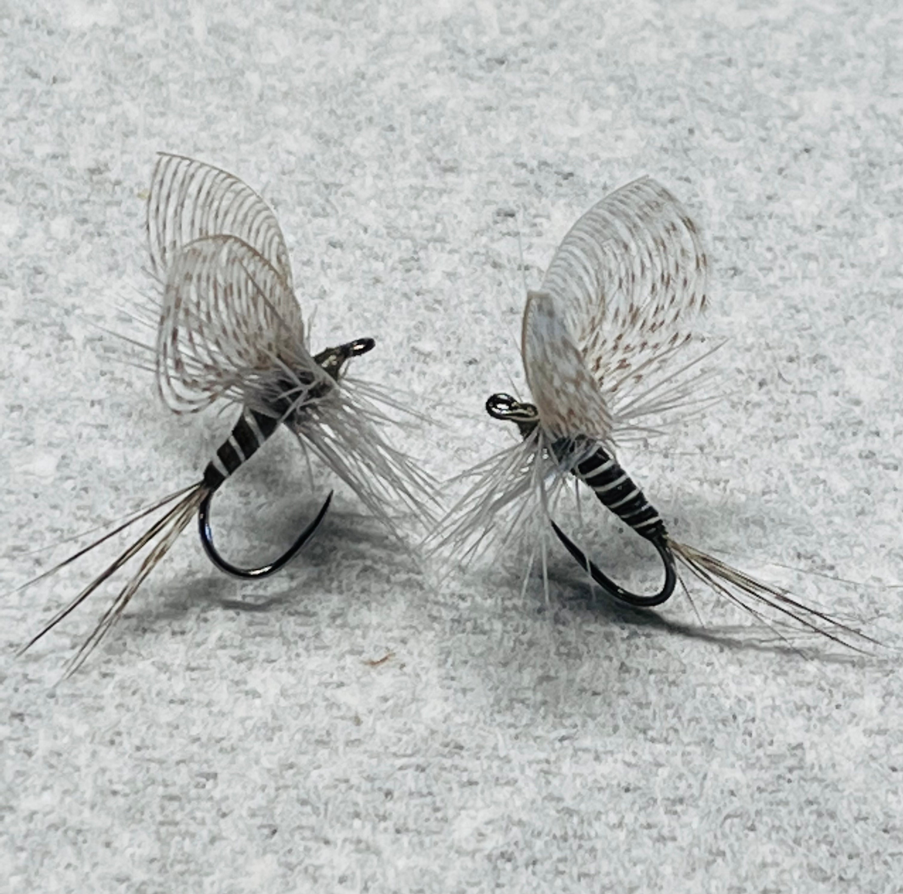 Six 6 Wally Wing Prosecutor Dry Flies Size 14 Free - Etsy