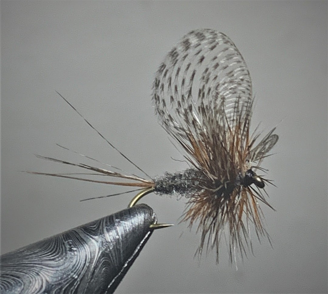 Six(6) - Wally Wing Adams Dry Flies, Size 14 - Etsy