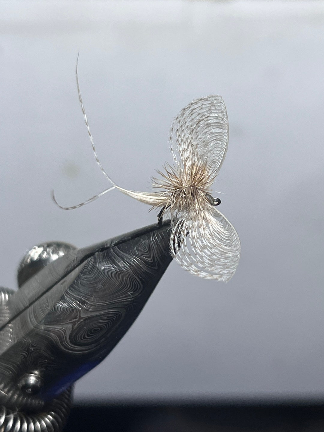 Wally Wing PMD Spinner, Size 14, Set of 6, Free Shipping - Etsy