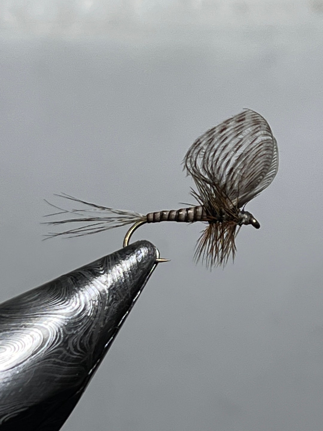 Wally Wing G Dry Mayfly, Two Each Sizes 14,16,18 (6 Pack), Free ...