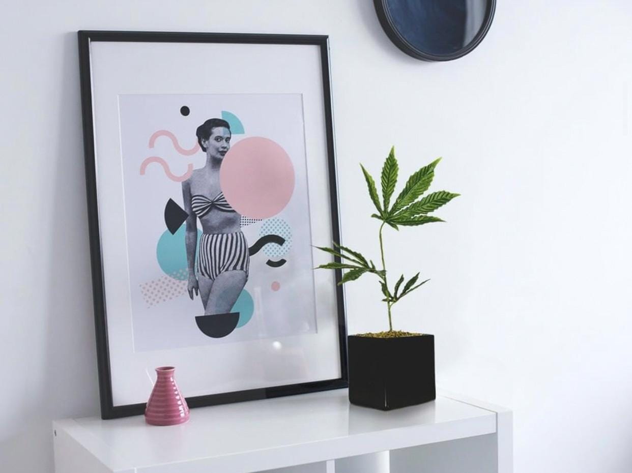 15" Fake Weed Plant Decor - Lifelike Cannabis Leaf in Black Pot - 420 ...