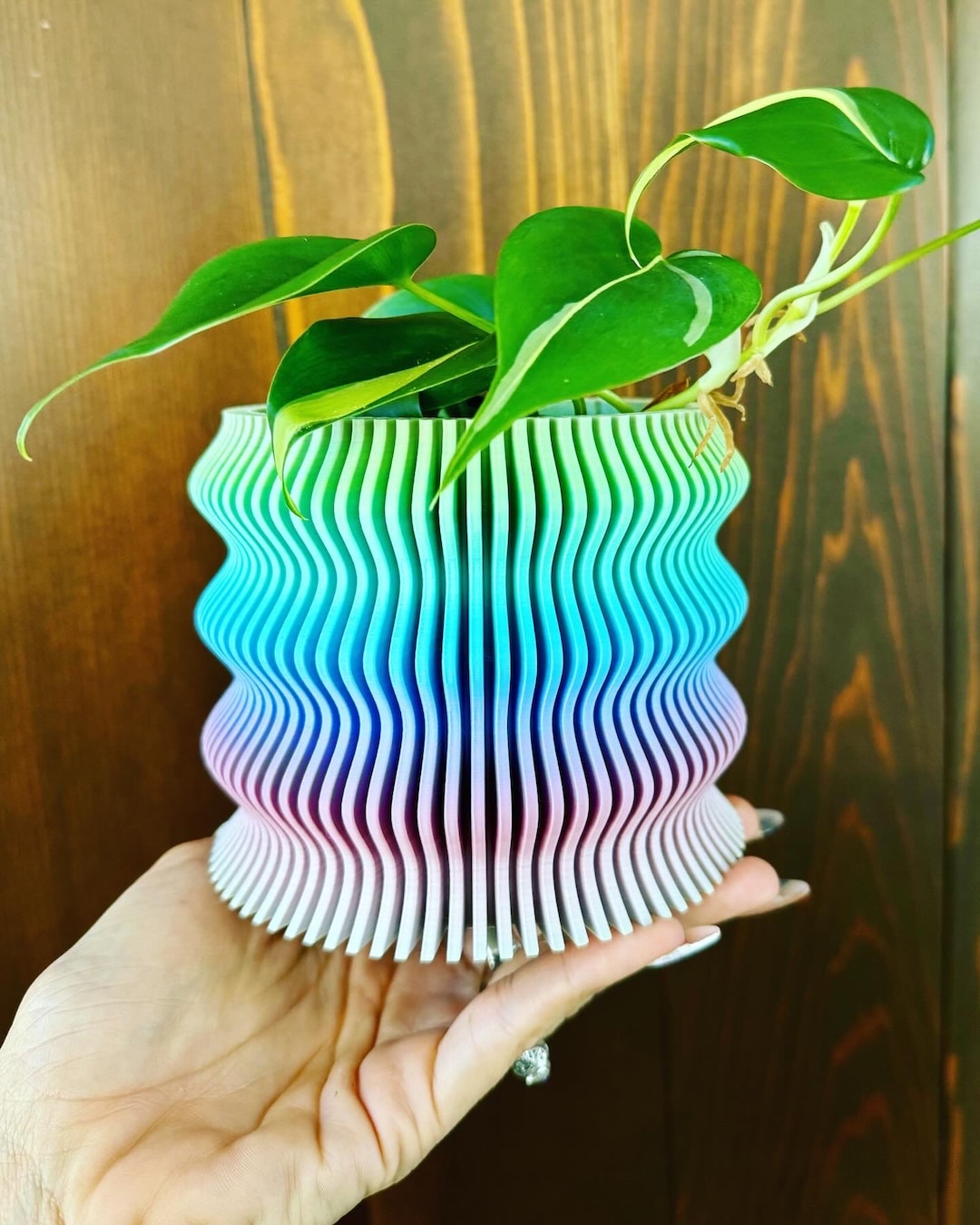Wavy Groovy Planter - Etsy