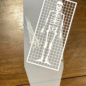 Stackable Moss Pole Kit - Mr Skeleton - Etsy
