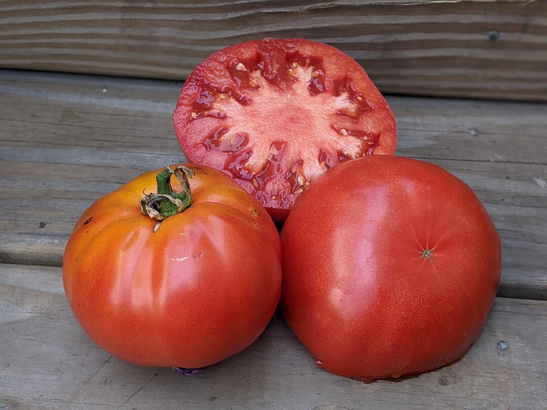 Muchamiel Tomato - 25 Seeds - Etsy