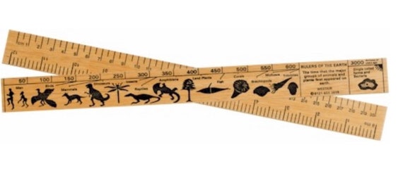 Natural History Timeline Wooden Ruler | Etsy