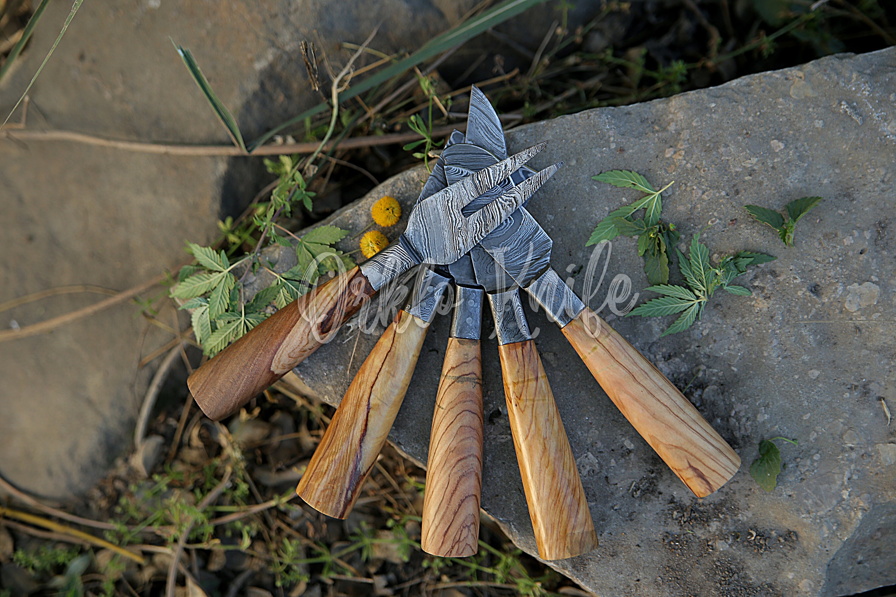 Handmade Damascus Cheese Knife Set of 5 Pcs With Olivewood Handle ...