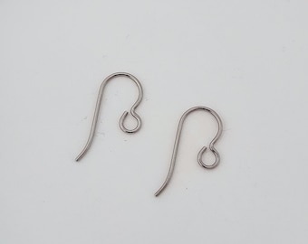 TITANIUM UPGRADE Hook Earrings for Sensitive Ears : - Etsy Canada