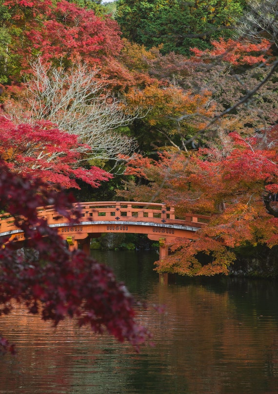 Japanese Zen Garden Bridge River Fall Autumn Time Scene HD Art - Etsy