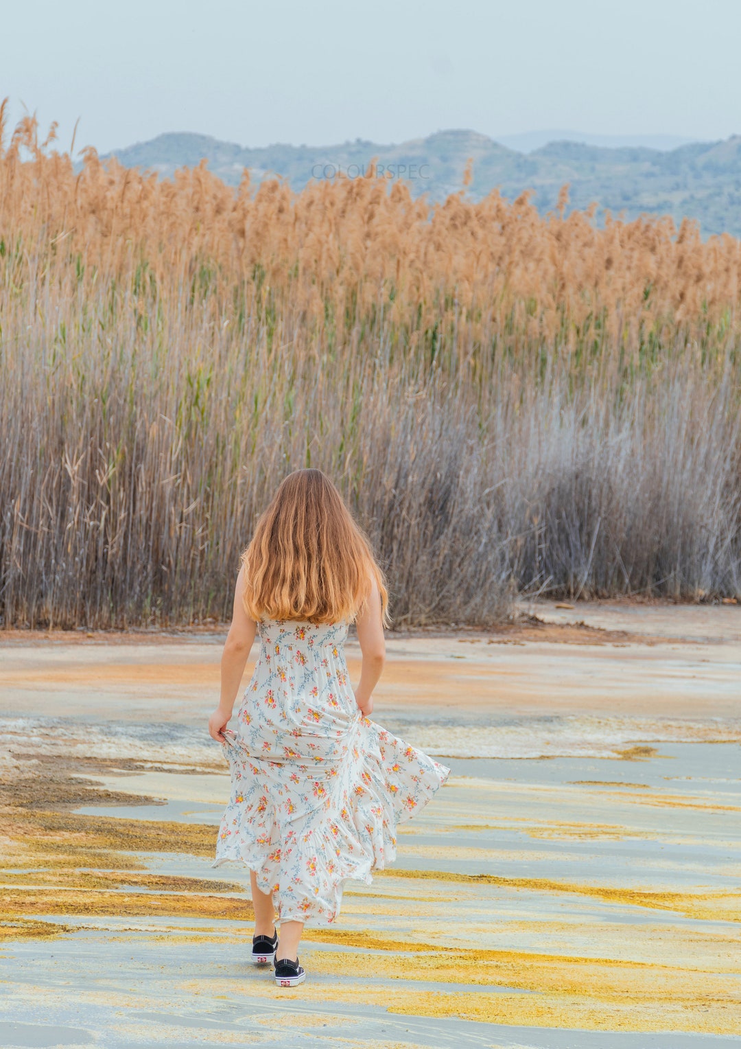 Woman Walking Dried Riverbed Reeds Light Colourful Landscape Scene ...