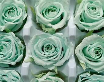 Mint Green Roses - Etsy